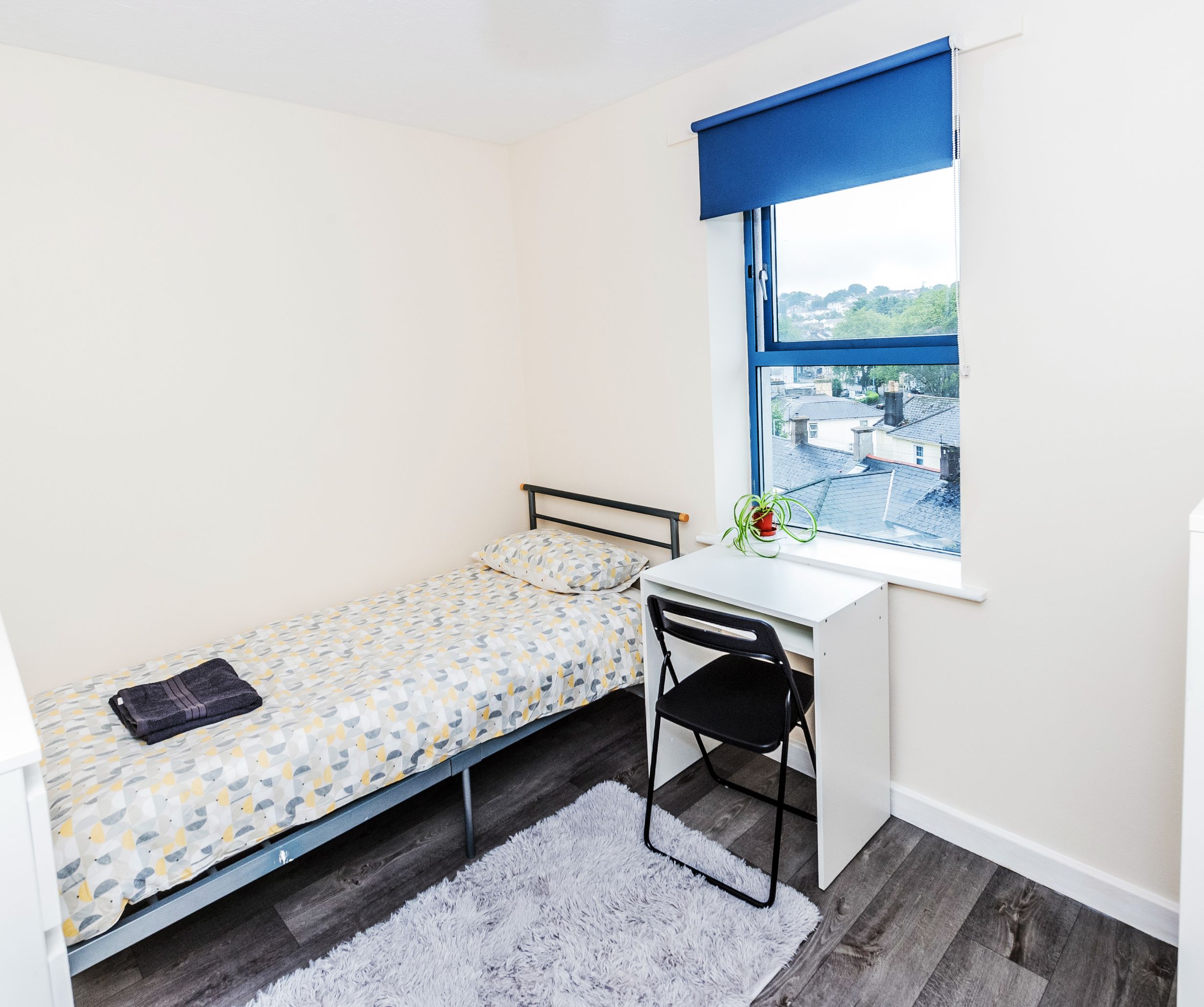 Torbay Foyer | LiveWest