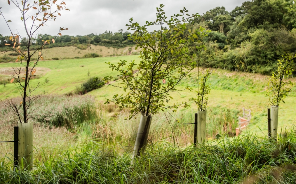 How to celebrate Earth Day | LiveWest