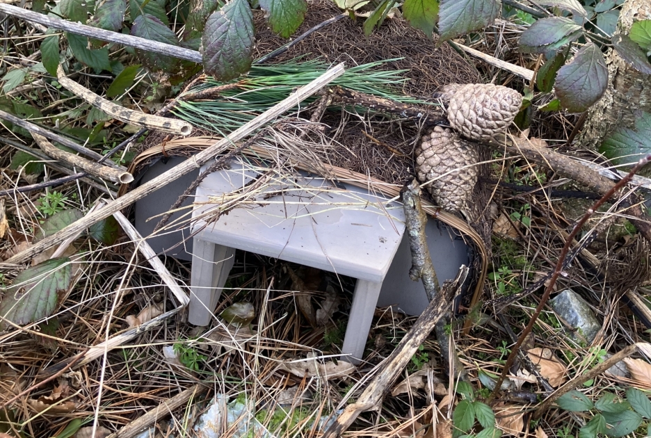 A new hedgehog home in one of our neighbourhoods | LiveWest